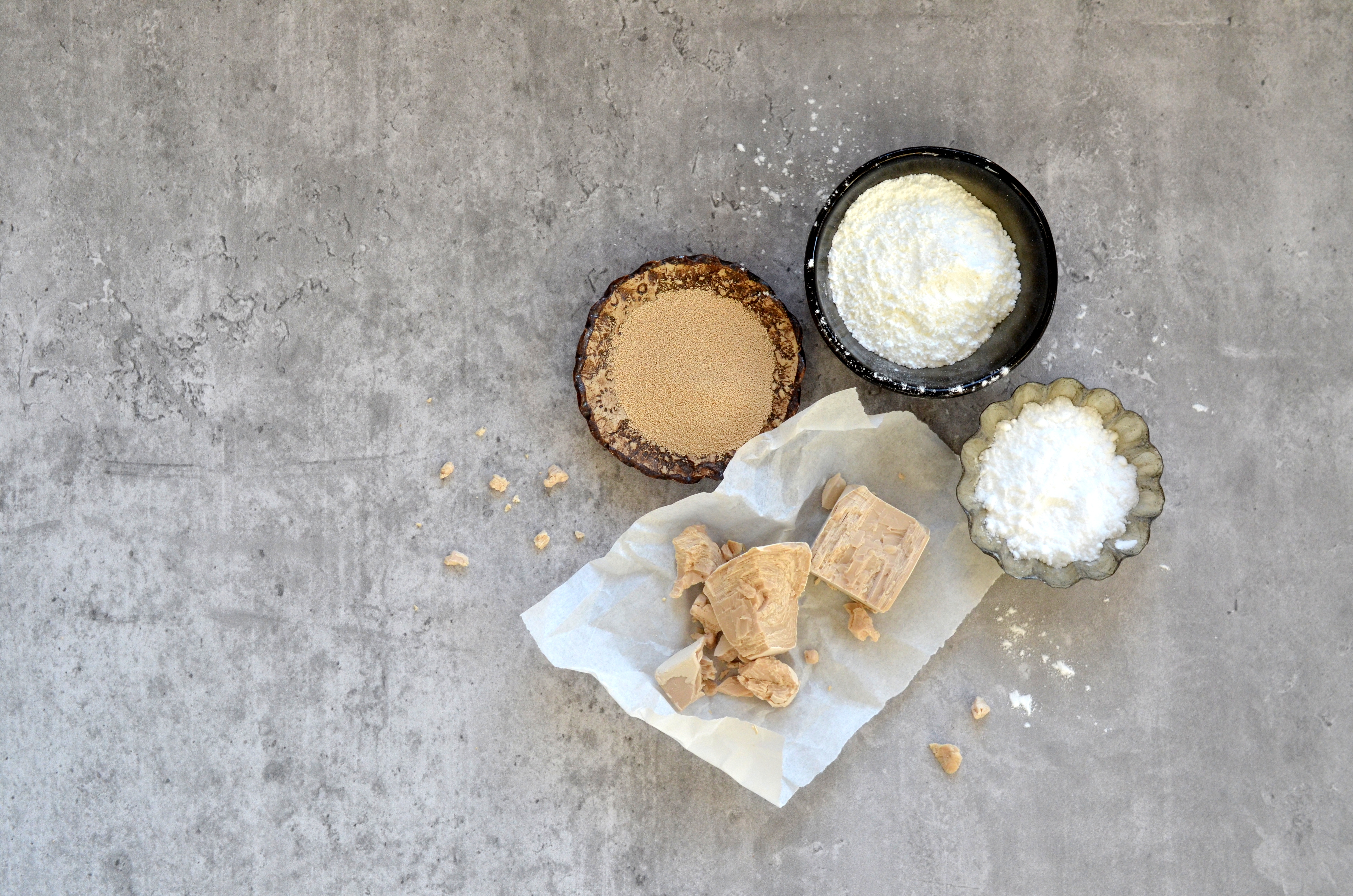 Backwissen: Triebmittel | Fini’s Feinstes